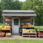 9 Homestead Farmstand Ideas (with Pictures) – Gardening Olivia